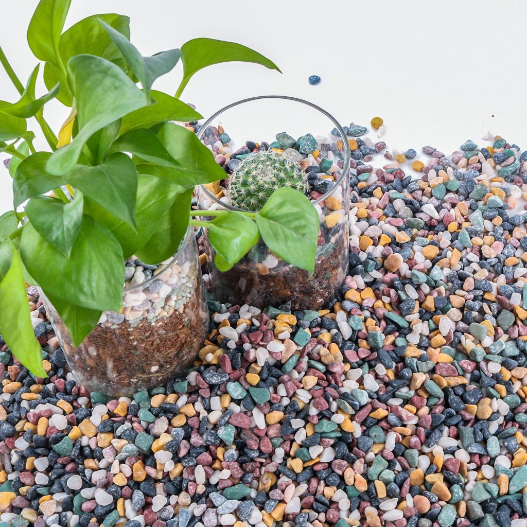Aquarium Gravel - Aquarium Reviews