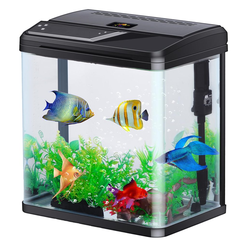 Review of Tetra Glass Aquarium 29 Gallons: Rectangular Fish Tank ...