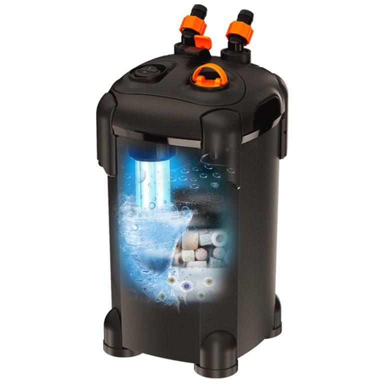 Review of Fluval FX2: High Performance Canister Filter