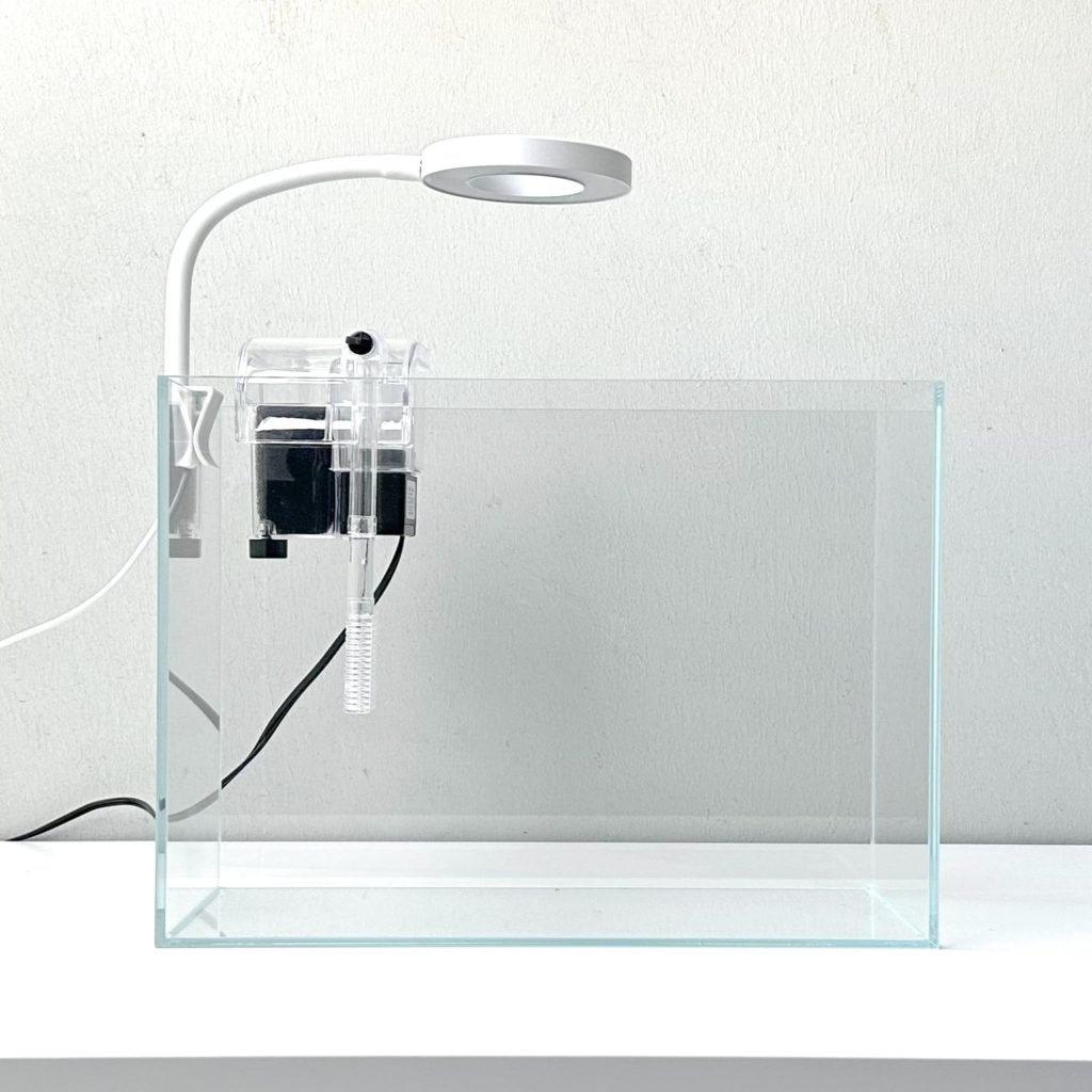 Review of Fluval Evo XII 13.5 Gal Saltwater Aquarium Kit with LED ...