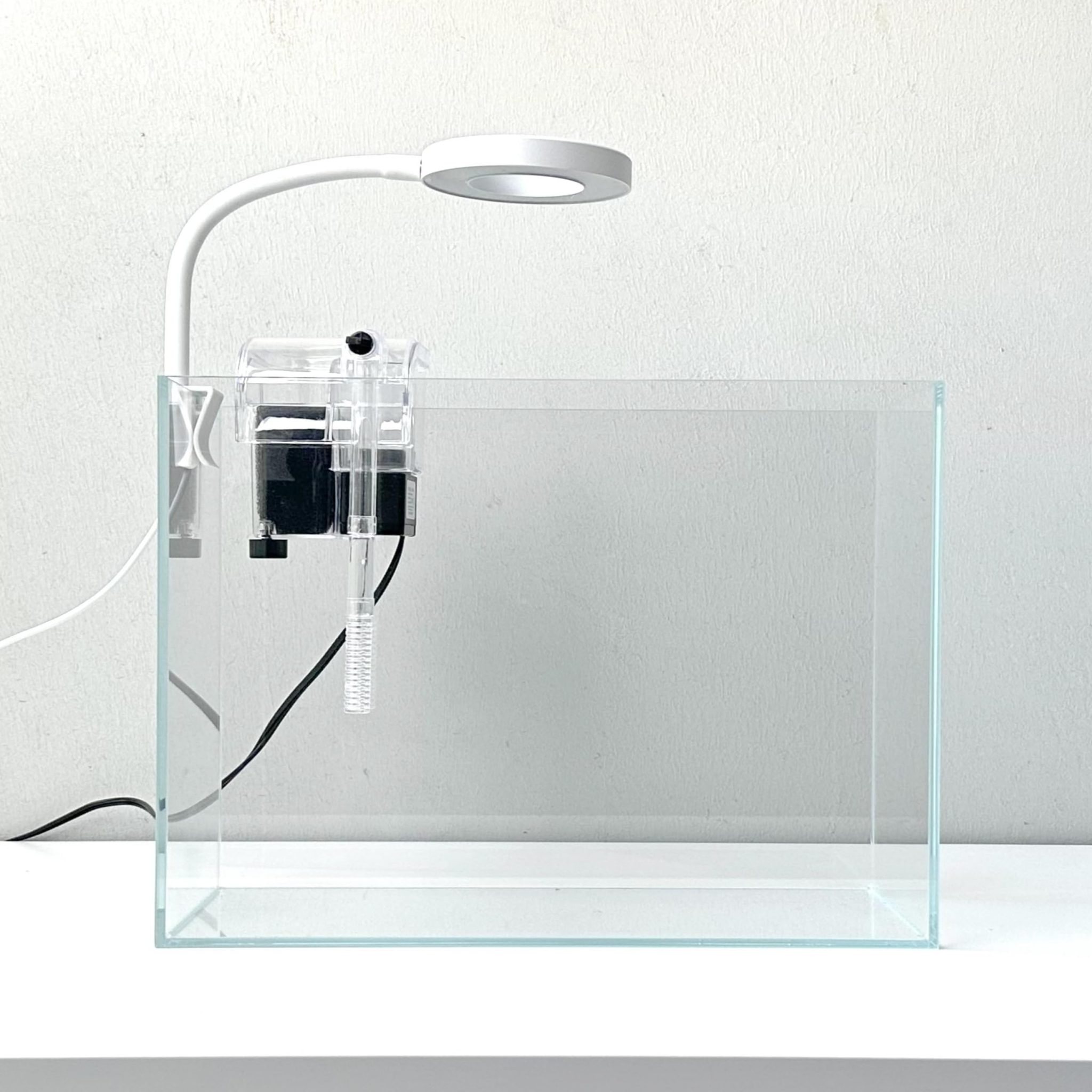 Review of Whalix: 2.2 Gallon Nano Aquarium Kit with Filter and Light